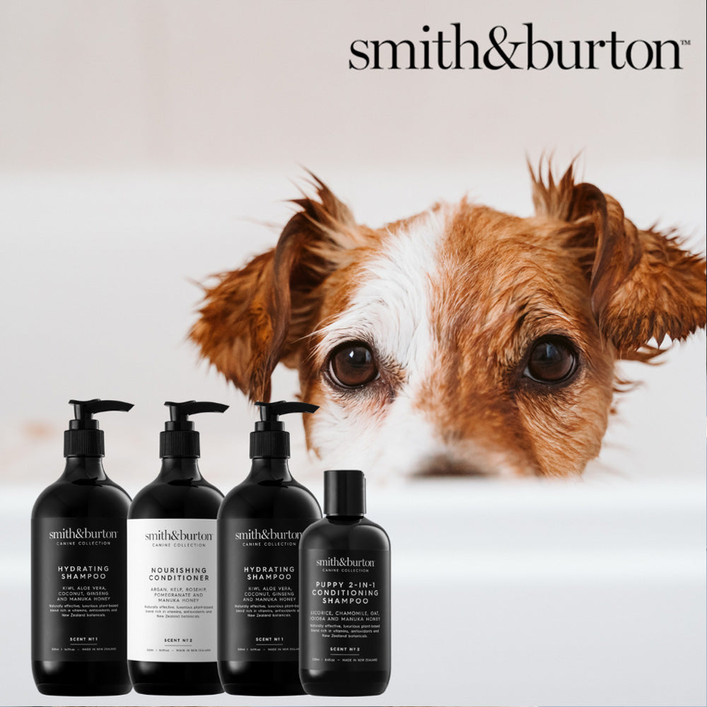 Grooming – The Grooming Lounge & Daycare