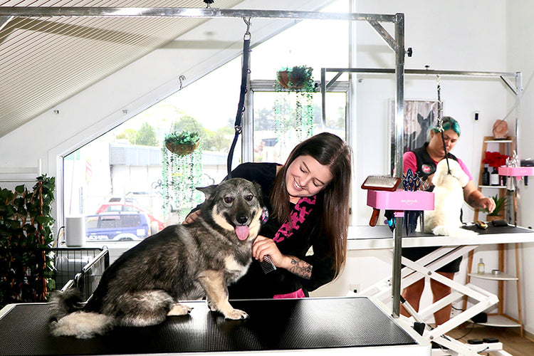 Grooming – The Grooming Lounge & Daycare